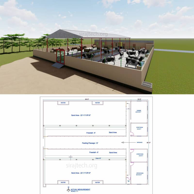 Small dairy farm design - আধুনিক গরুর শেড - SIRAJ TECH