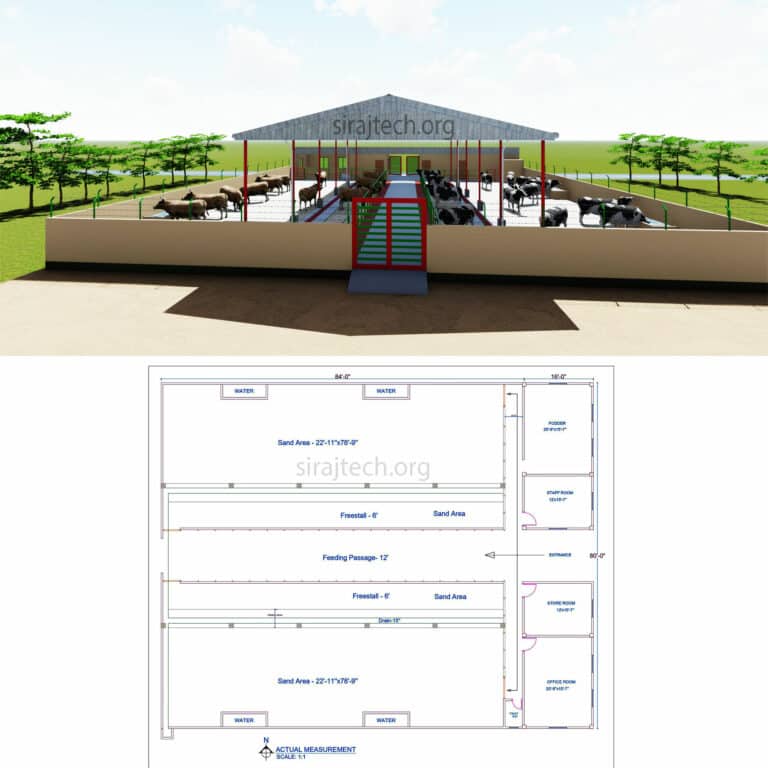 Small dairy farm design - আধুনিক গরুর শেড - SIRAJ TECH