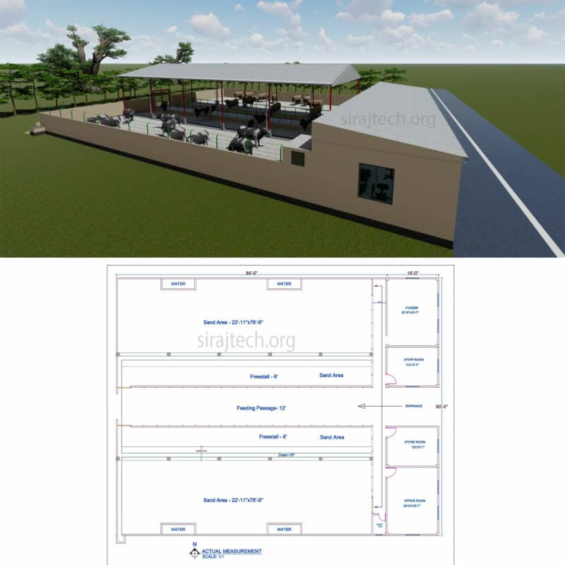 Small dairy farm design - আধুনিক গরুর শেড - SIRAJ TECH