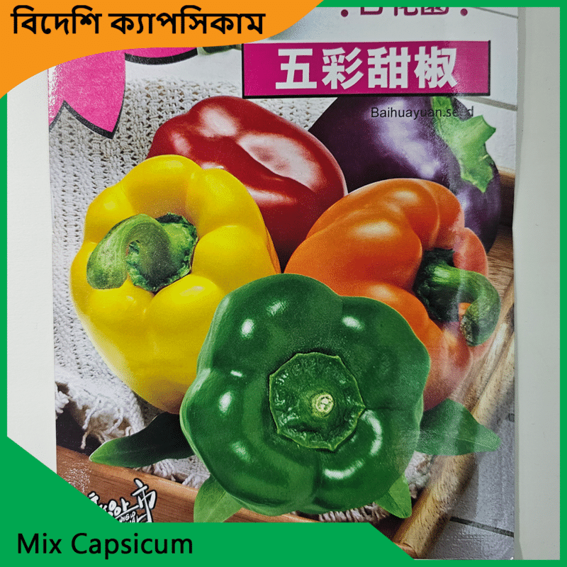 Capsicum Seeds Price - ক্যাপসিকাম বীজের দাম - SIRAJ TECH