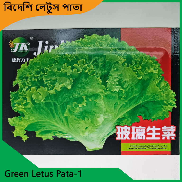 Letus pata seeds - লেটুস পাতার বীজ - SIRAJ TECH